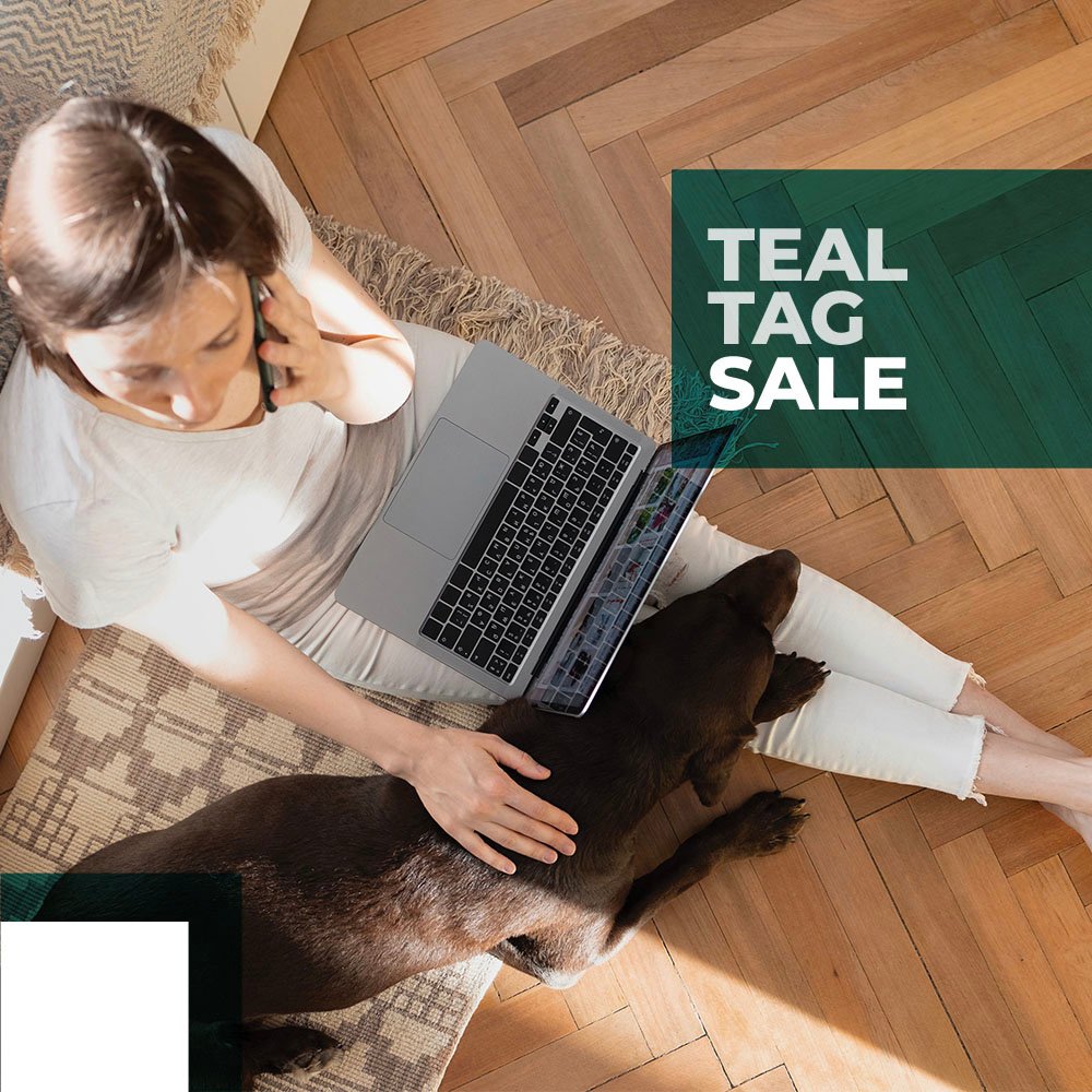 Sale | Alexandria Carpet One Floor & Home